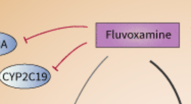 Insights on CYP2C19 and phenoconversion
